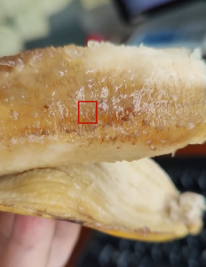Worms in banana are related to damage to banana peel, not to blackening ...